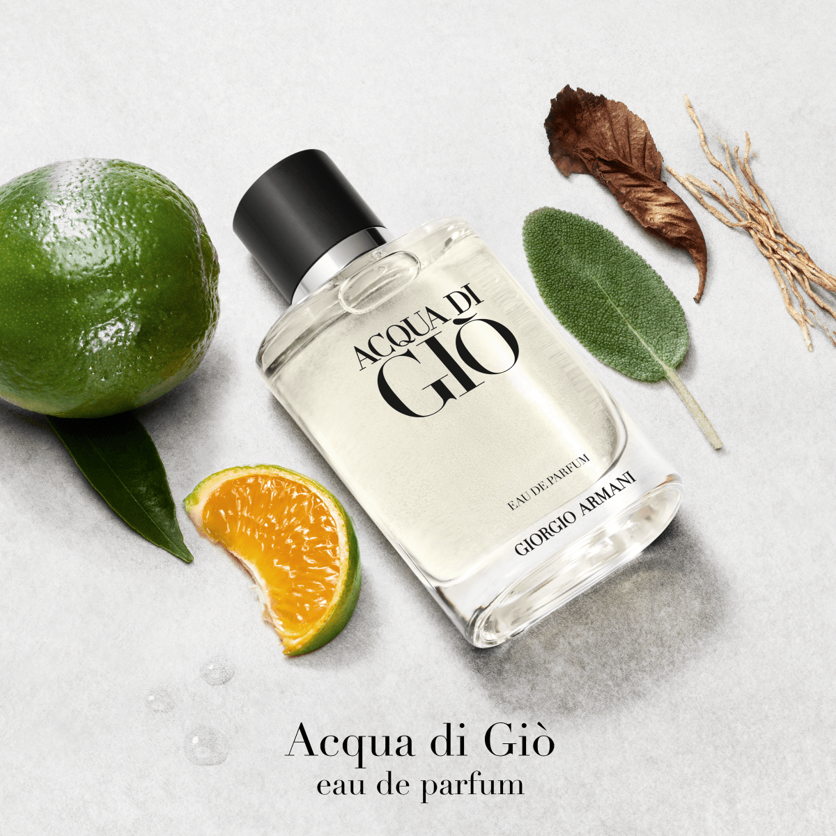 Giorgio Armani Acqua Di Gio Pour Homme EDP - Perfumerías Pigmento